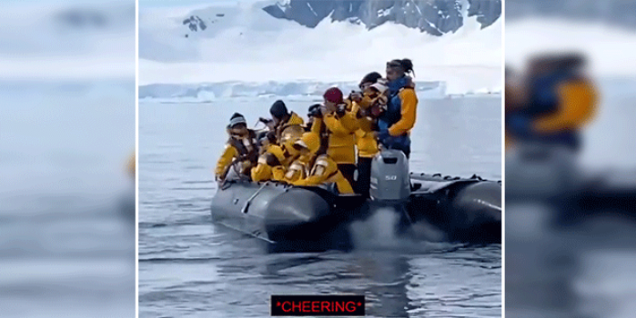 Katil balinadan kaçan penguen turistlerin botuna sığındı! - Yeni Akit