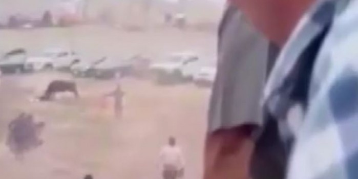 Meksika'da arenadan firar eden boğa dehşet saçtı: 4 yaralı - Yeni Akit